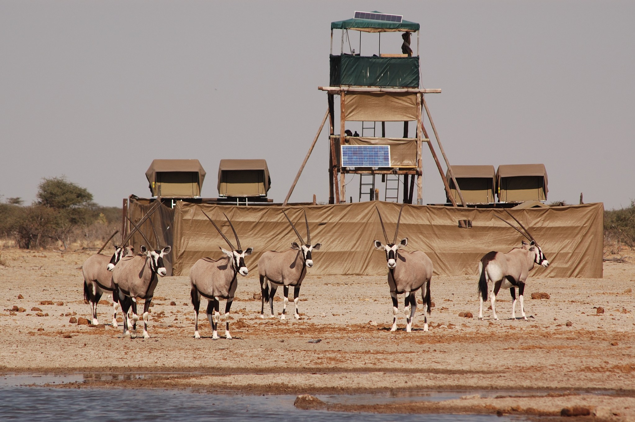 ALNET Namibia, Southern Cross Services